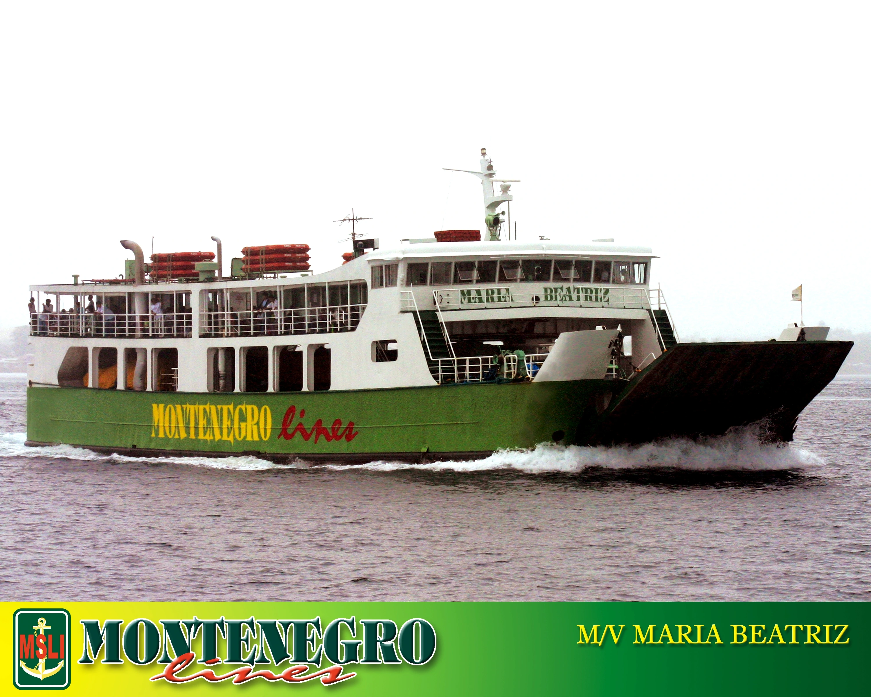 Montenegro Shipping Lines